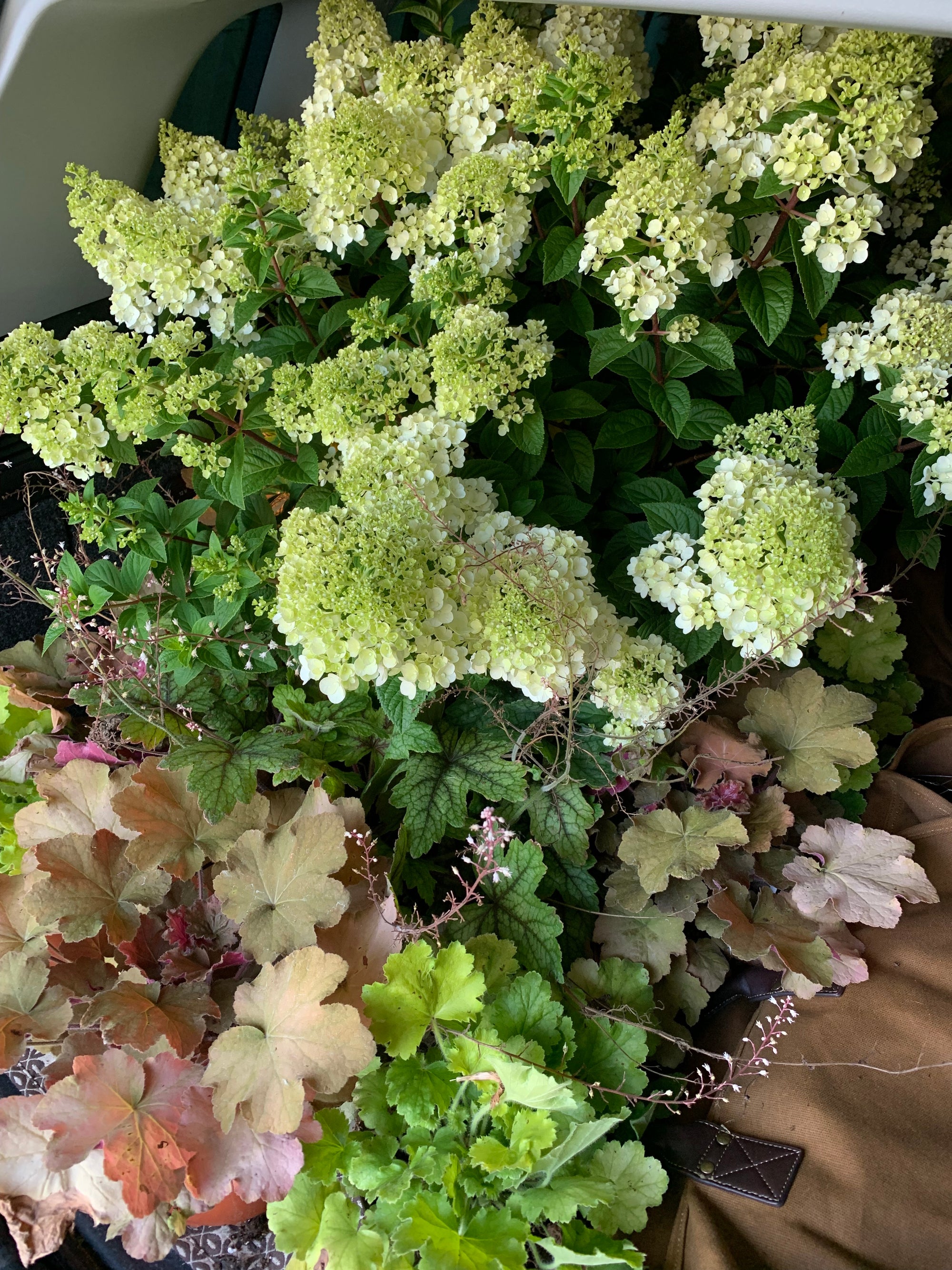 Our Services – Helios Floral